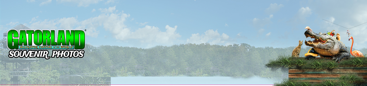 GATORLAND